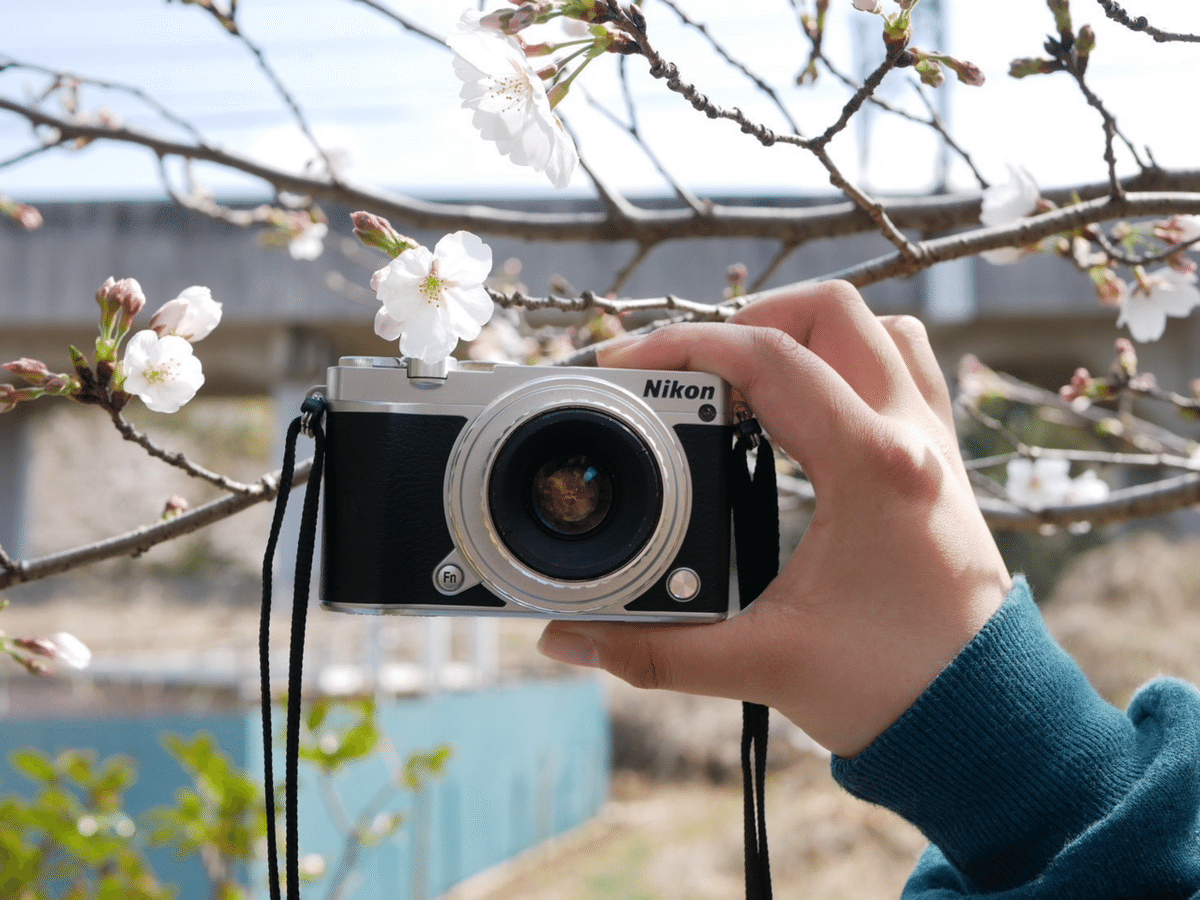 Nikon 1 J5とCマウントレンズ|かまた Nikon 1 J5とCマウントレンズ|かまた