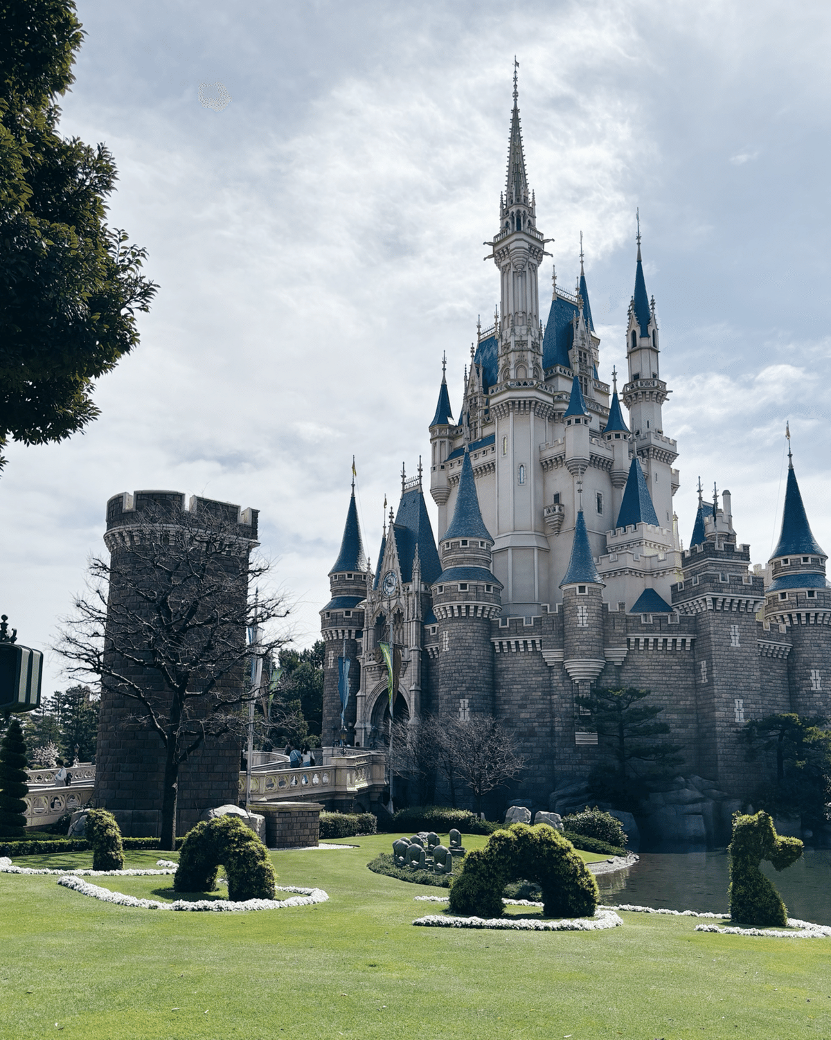 15年ぶりのディズニー｜tomi