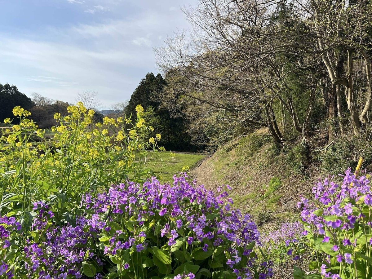 DAY 66 雨降るね〜｜jucon110