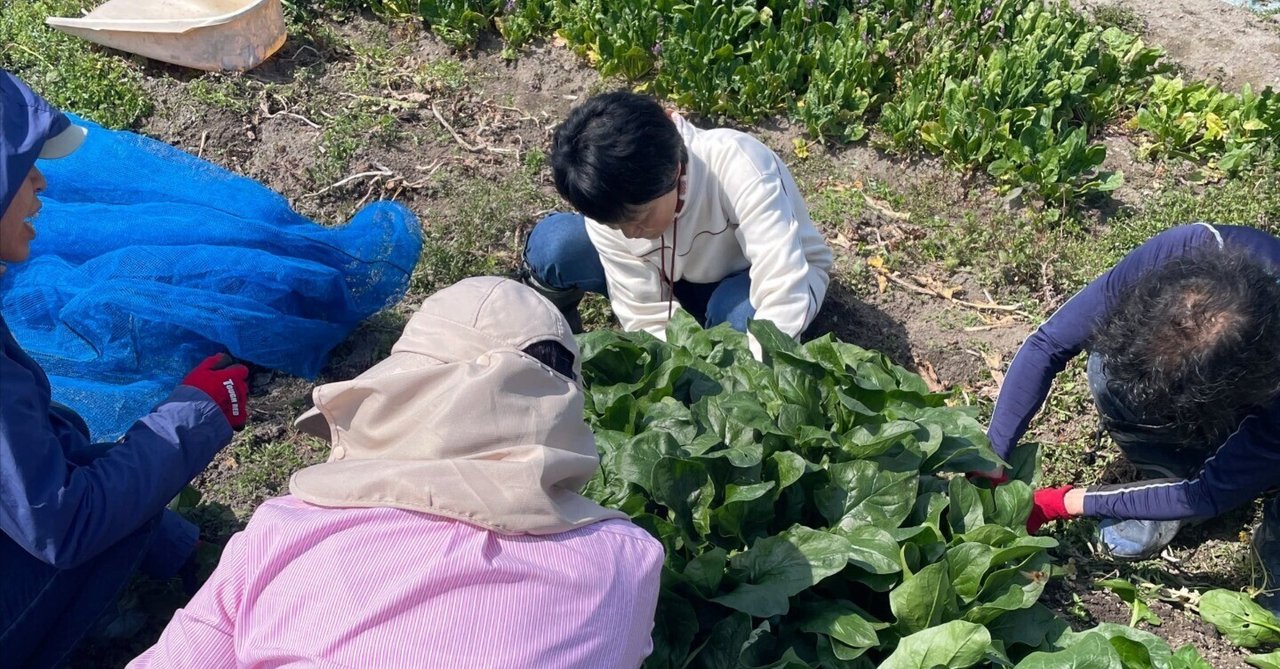 田舎あるある。｜sasabase