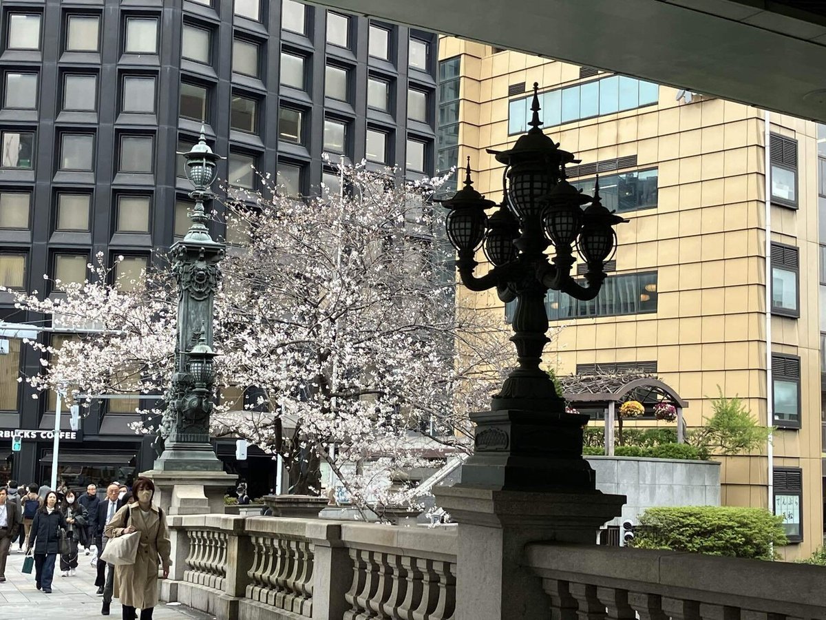 お花見 2025春⑴／寒さに震えながら「桜クルーズ」｜yoshie_FW