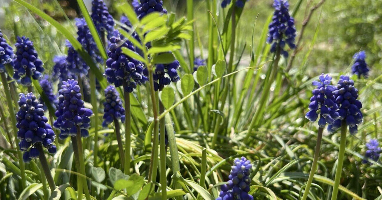 「何者でもない人であること」 〜休み方、働き方、生き方その7｜Chika Munakata