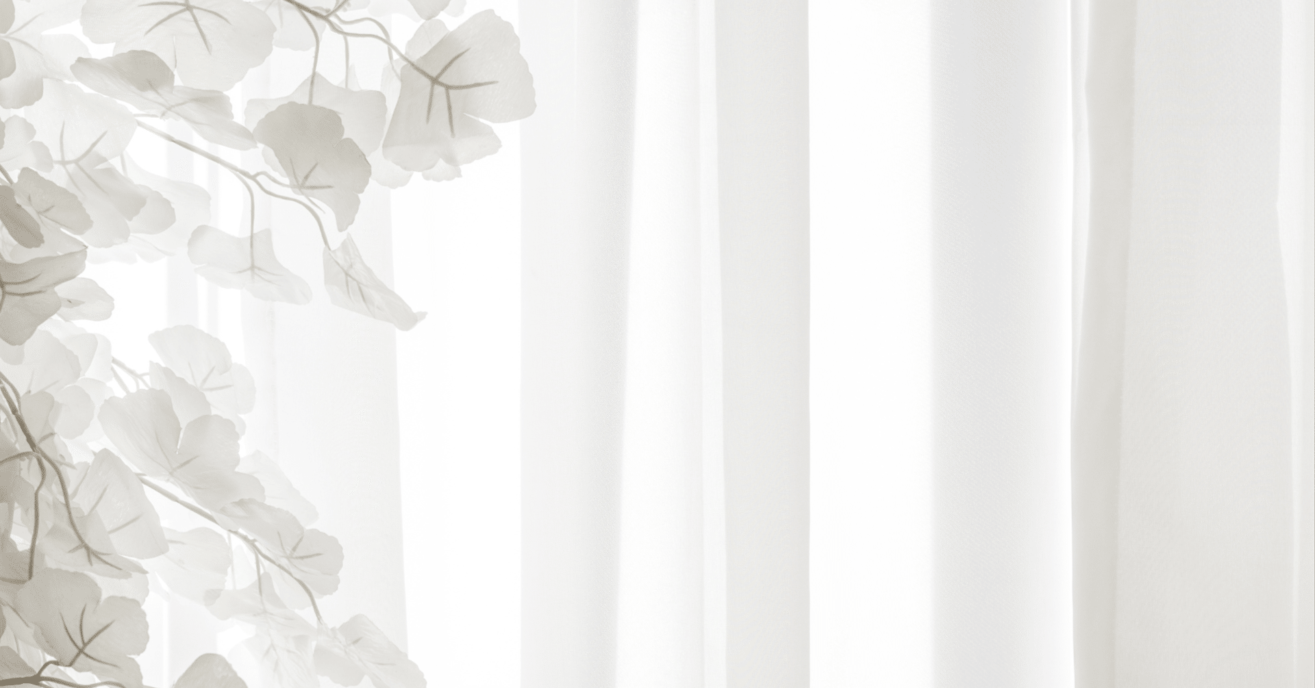 麻生 瑞穂 | 整えるブランディング｜note