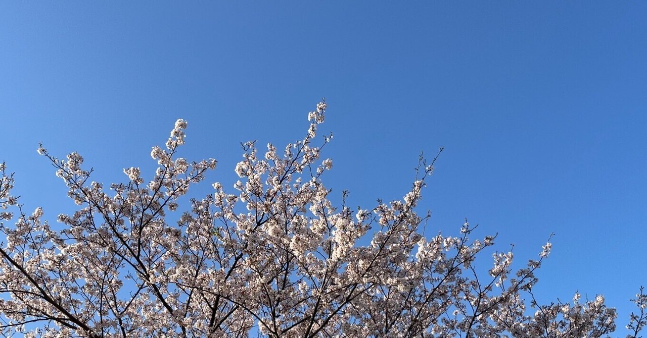 アクセサリー｜mee