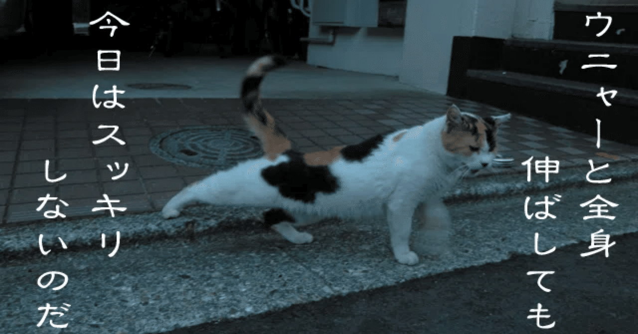 慢性的な肩こり｜unitason