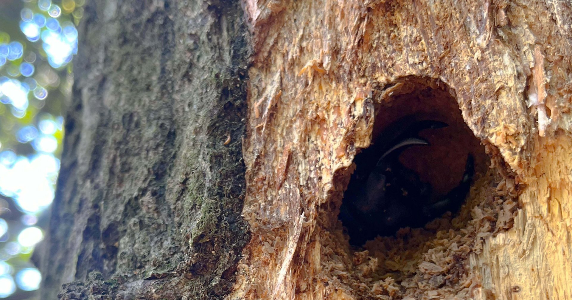 ryosukeの記事一覧｜note（ノート）