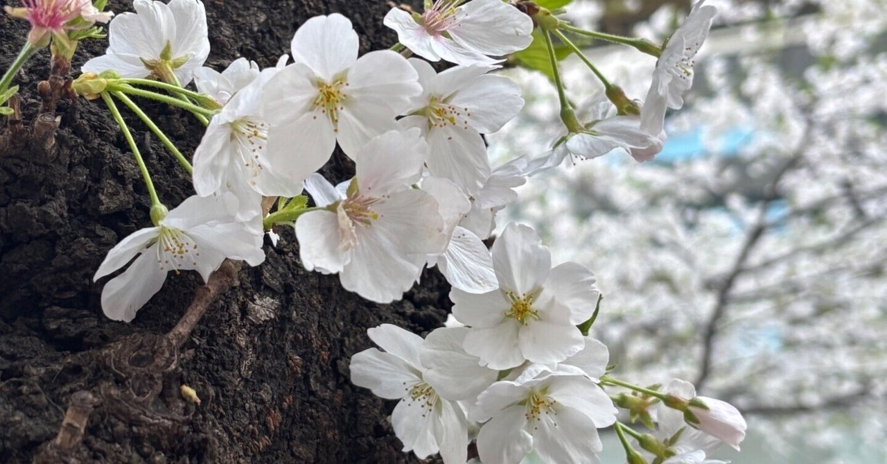 「主婦のお小遣い稼ぎ」と判断されてきた在宅ママライターより、私的現在地をお届けします｜猪狩はな｜教育ライター