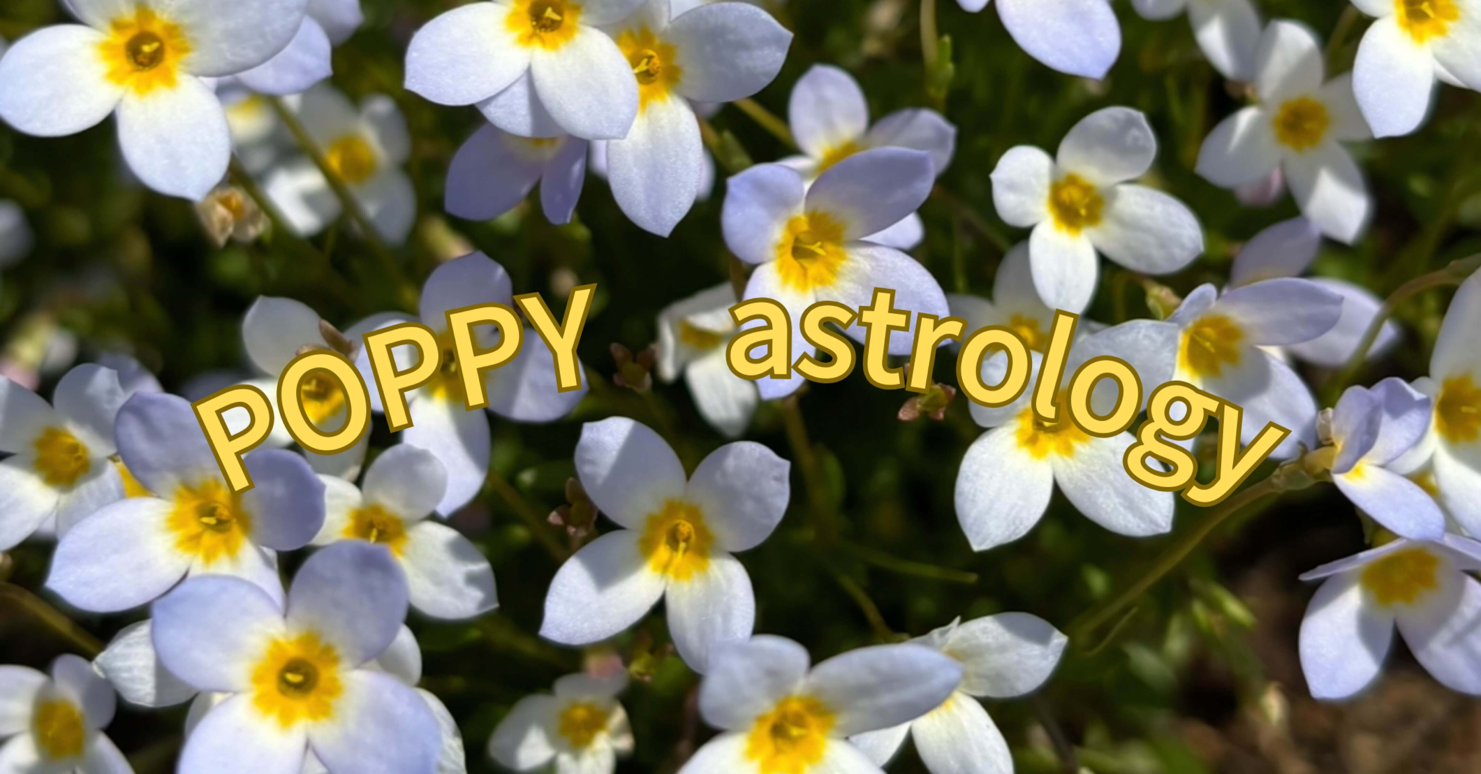POPPY_astrology｜note