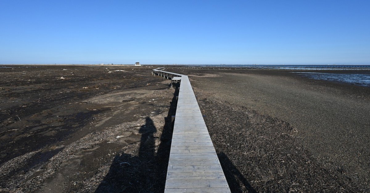 緊急時に現れる“真の実力”──それがあなたの本当の力なのだから｜Kenichi Aichi