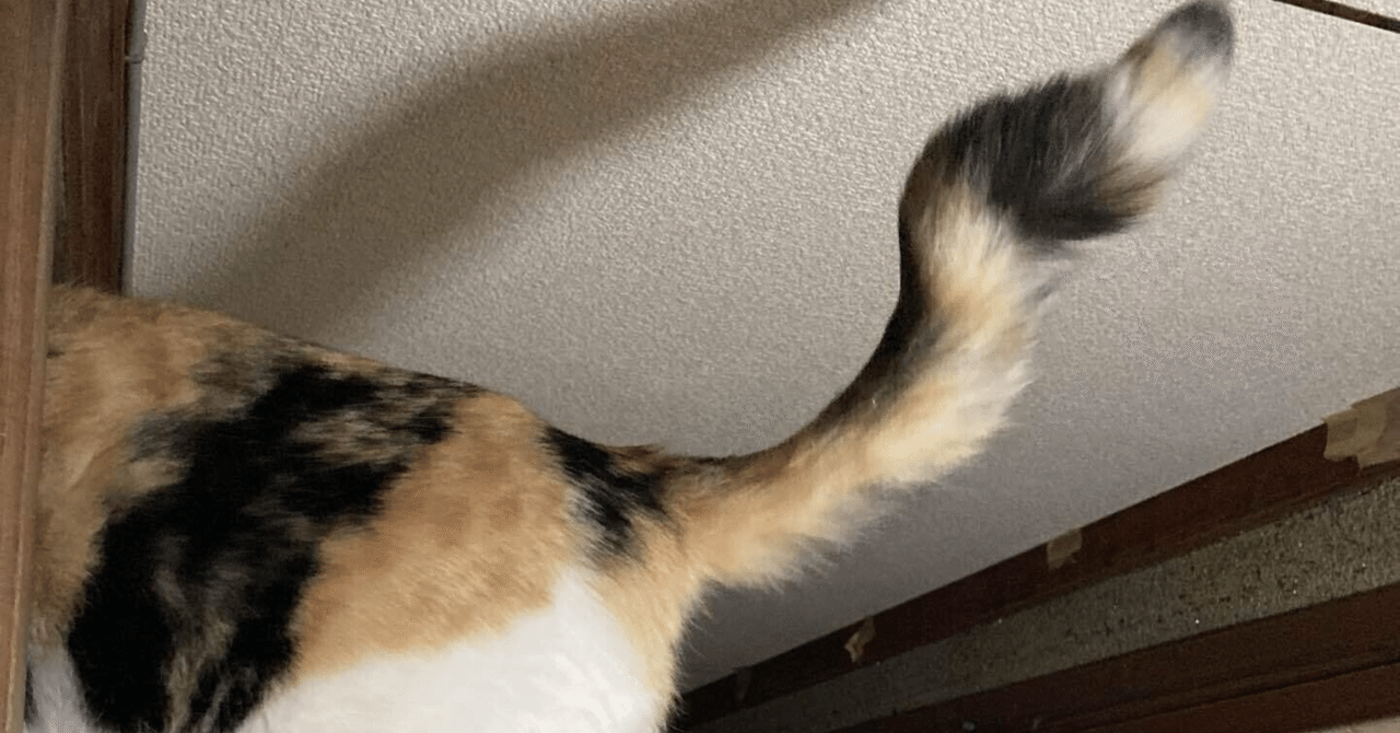 100円で仕入れて1,000円で売る方法。｜N Takuma