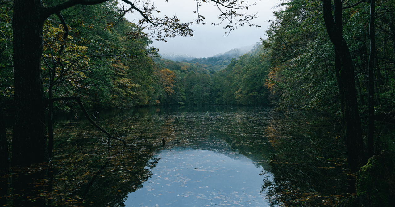 「WIN5」～夢馬券を極める旅～ (11)｜tombi