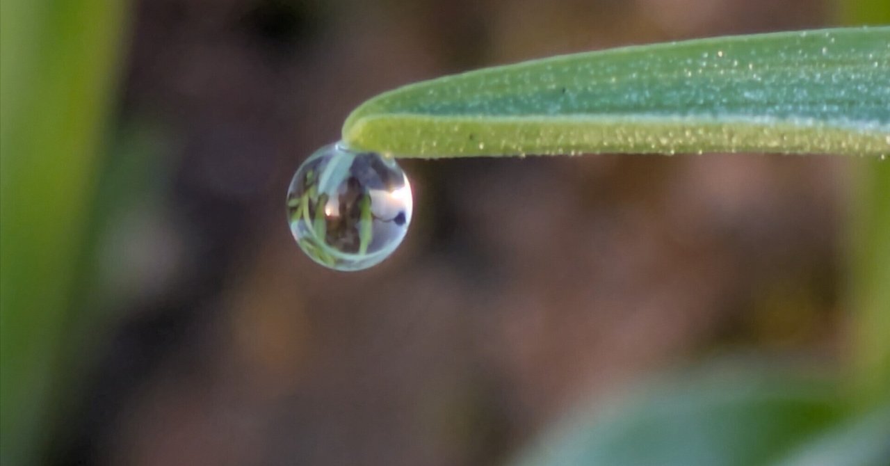 泣いたり笑ったり驚いたり｜ichiro70