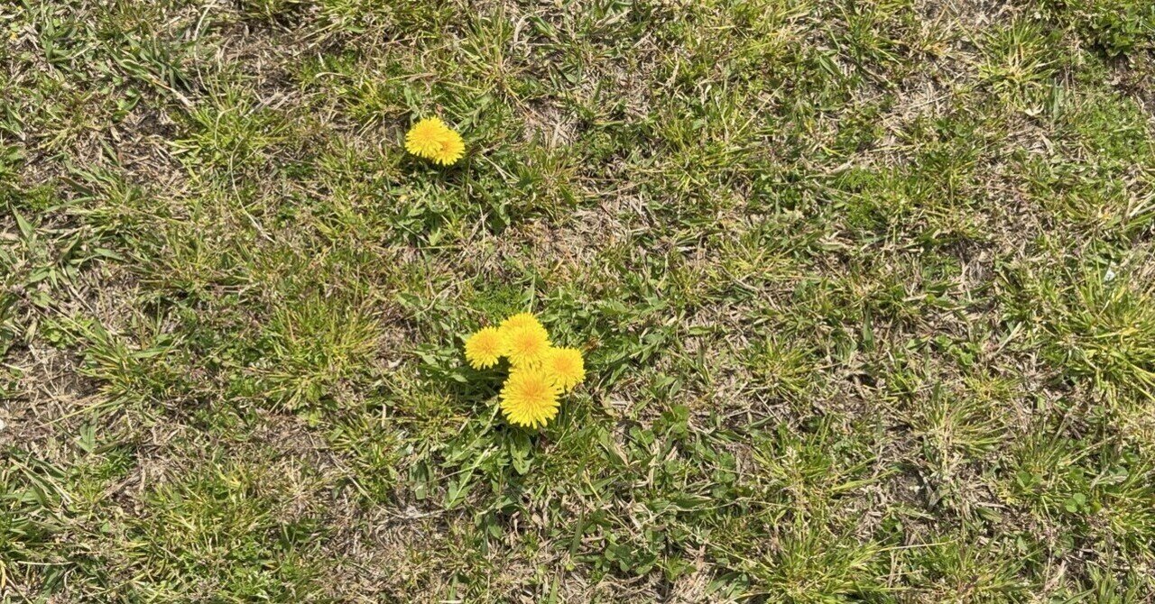 0． 初投稿・noteはじめました。はじめましてです。｜紗花 ︎ sacha