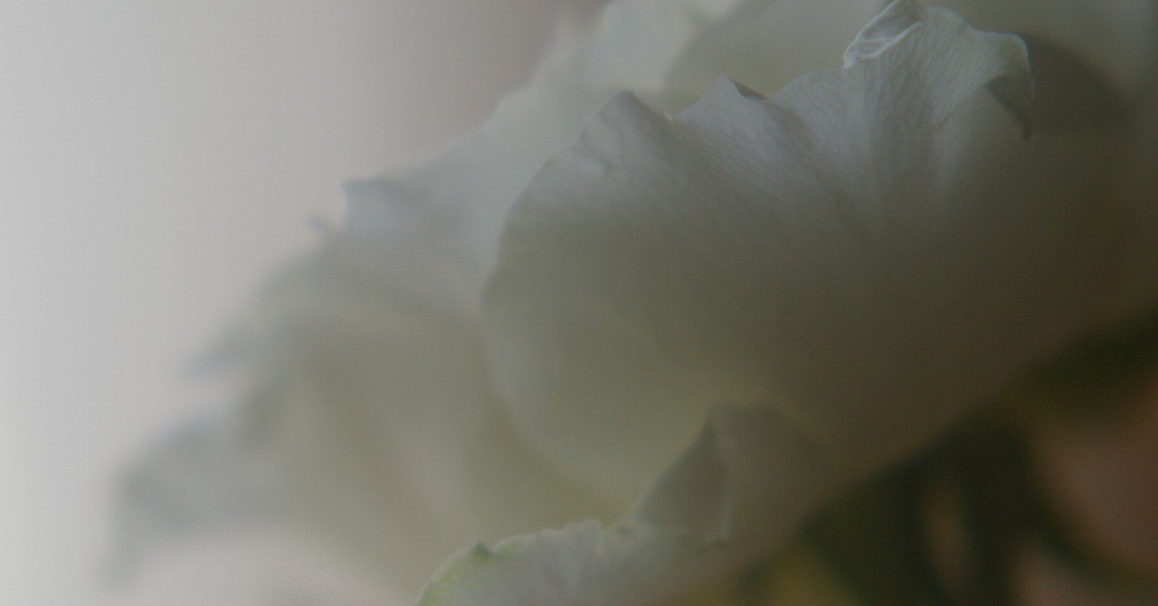 大いなる静寂。・。・｜Cosmic Suzu｜note