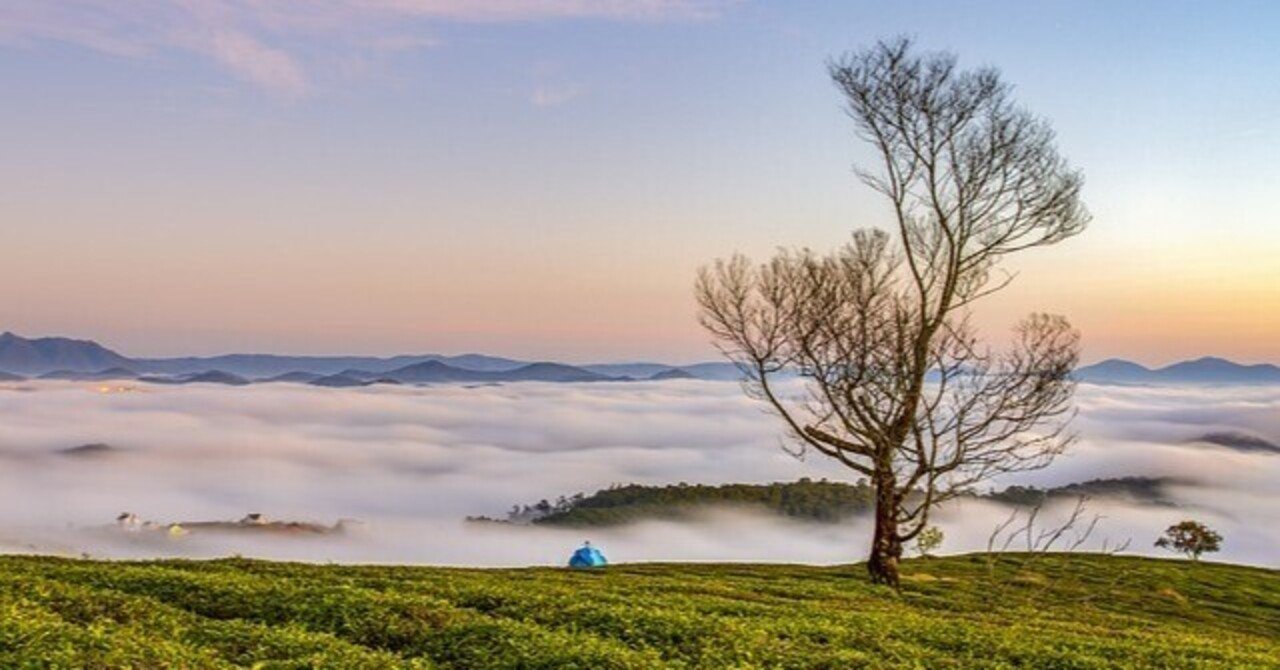 夫との出会い｜stepfam