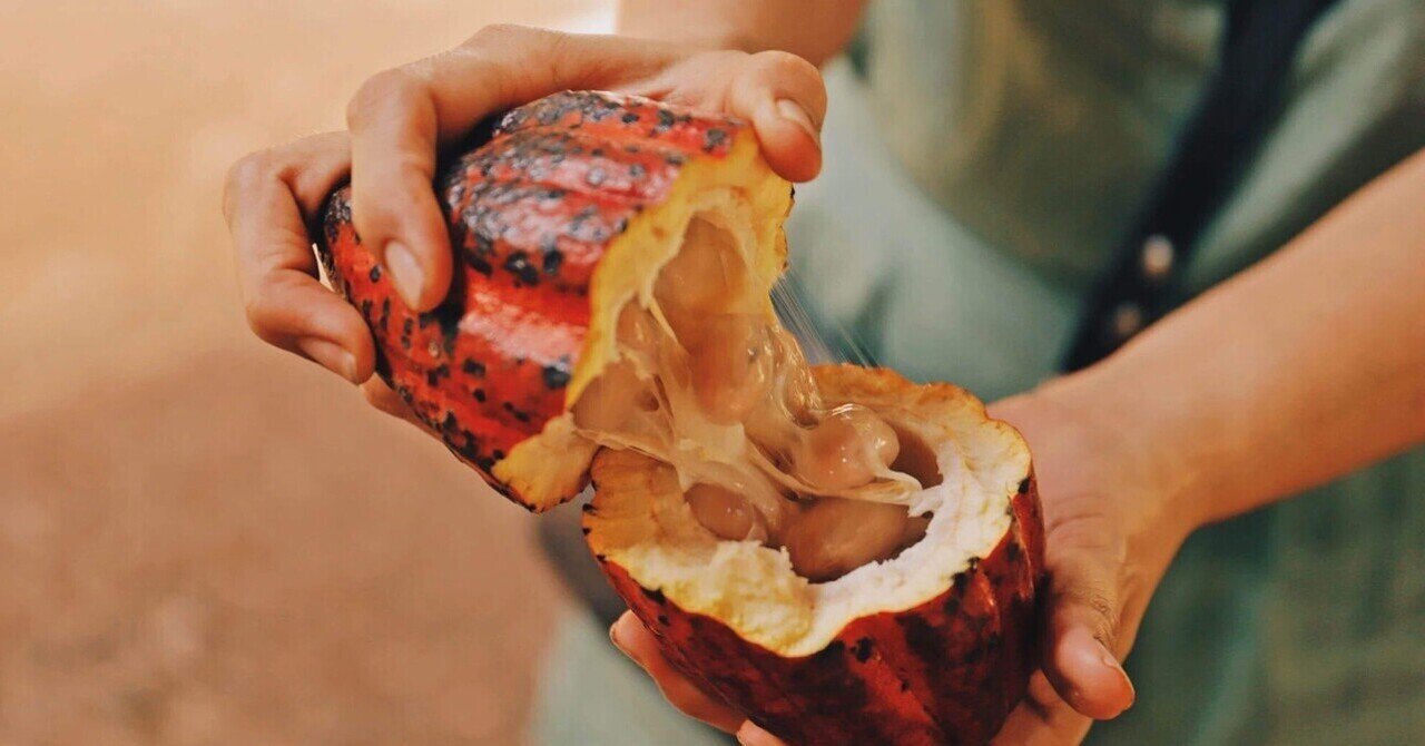 チョコレート②〜チョコレートにハマってます〜｜ choco atelier enak