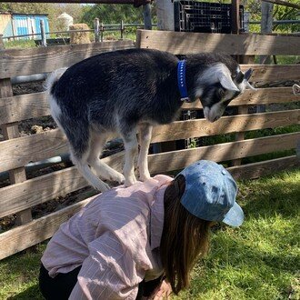 tomozo kitchen｜note