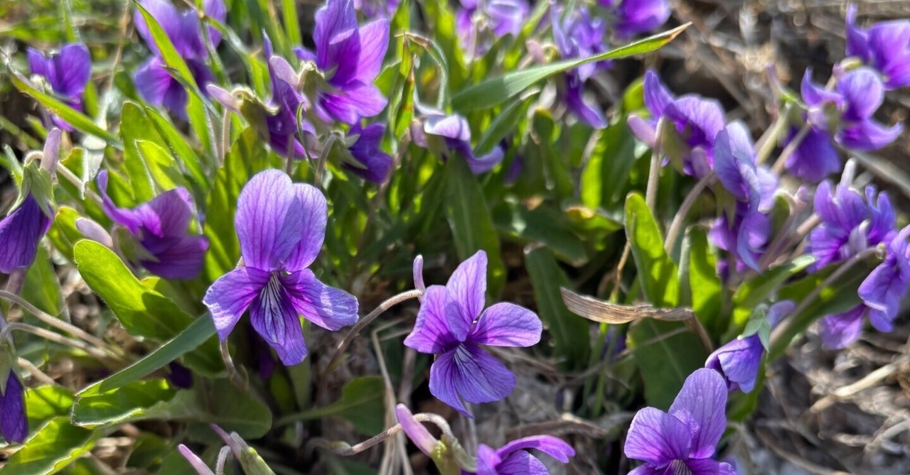 鍵🗝は自分たち人間の変容を受け容れられるかどうか。｜Kumiko