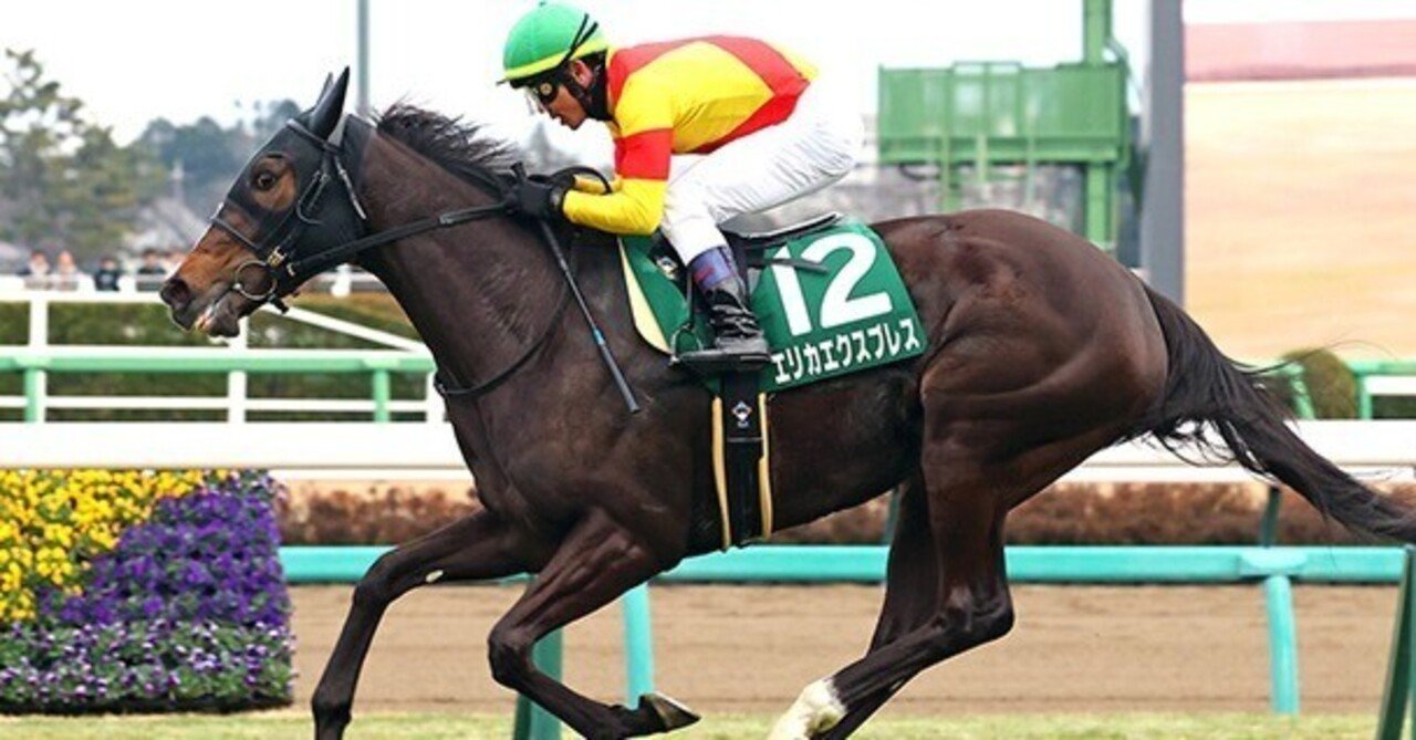 桜花賞 No.2｜shige