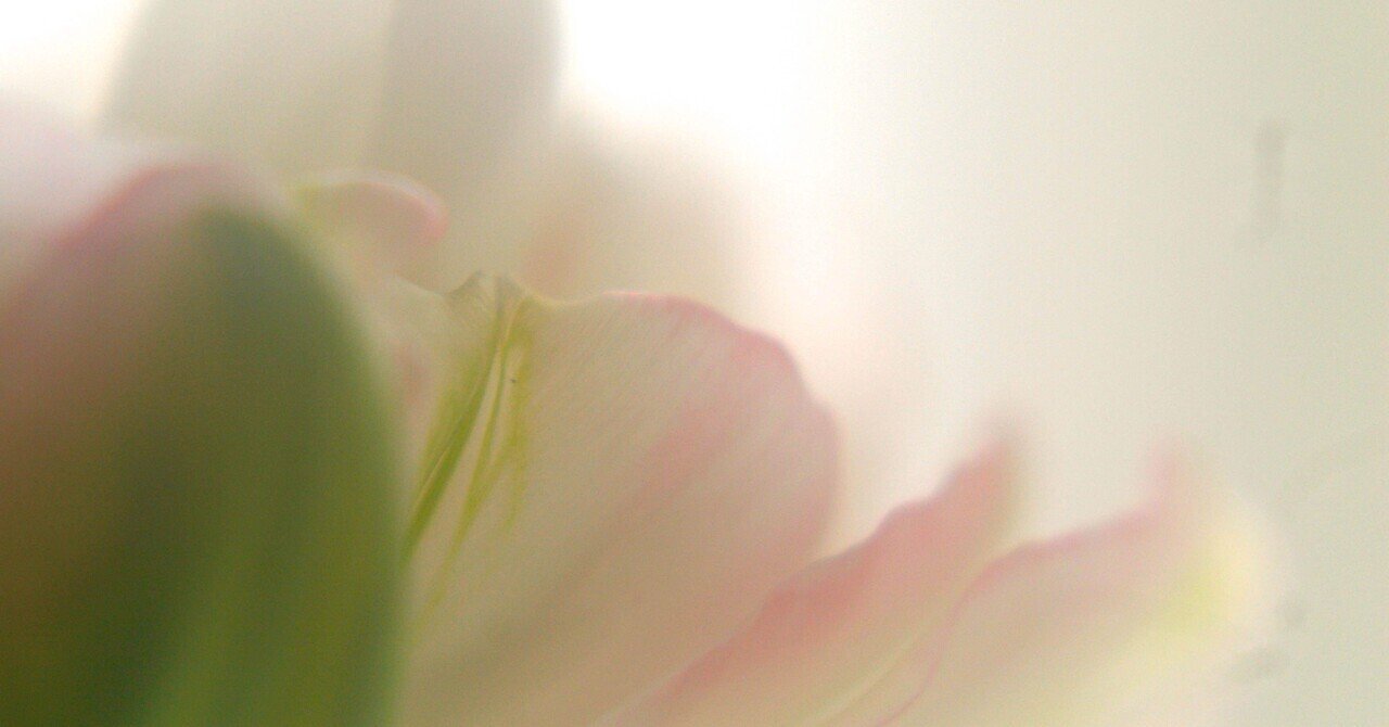 花みくじ｜Cosmic Suzu