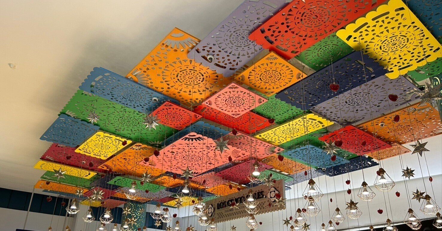 MIZUKI🌳🐨｜note