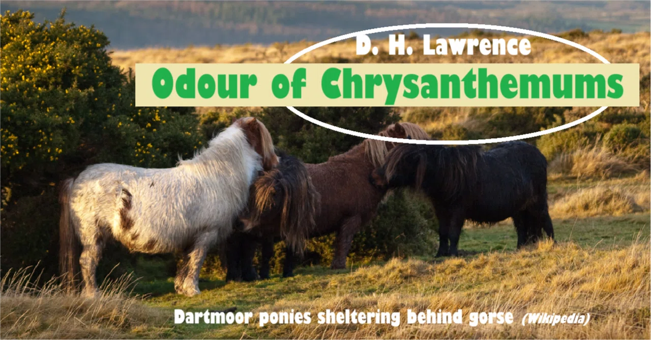 132回目 D. H. Lawrence; "Odour of Chrysanthemums"を読む（Part 1)。登場人物、動物、草木の ...