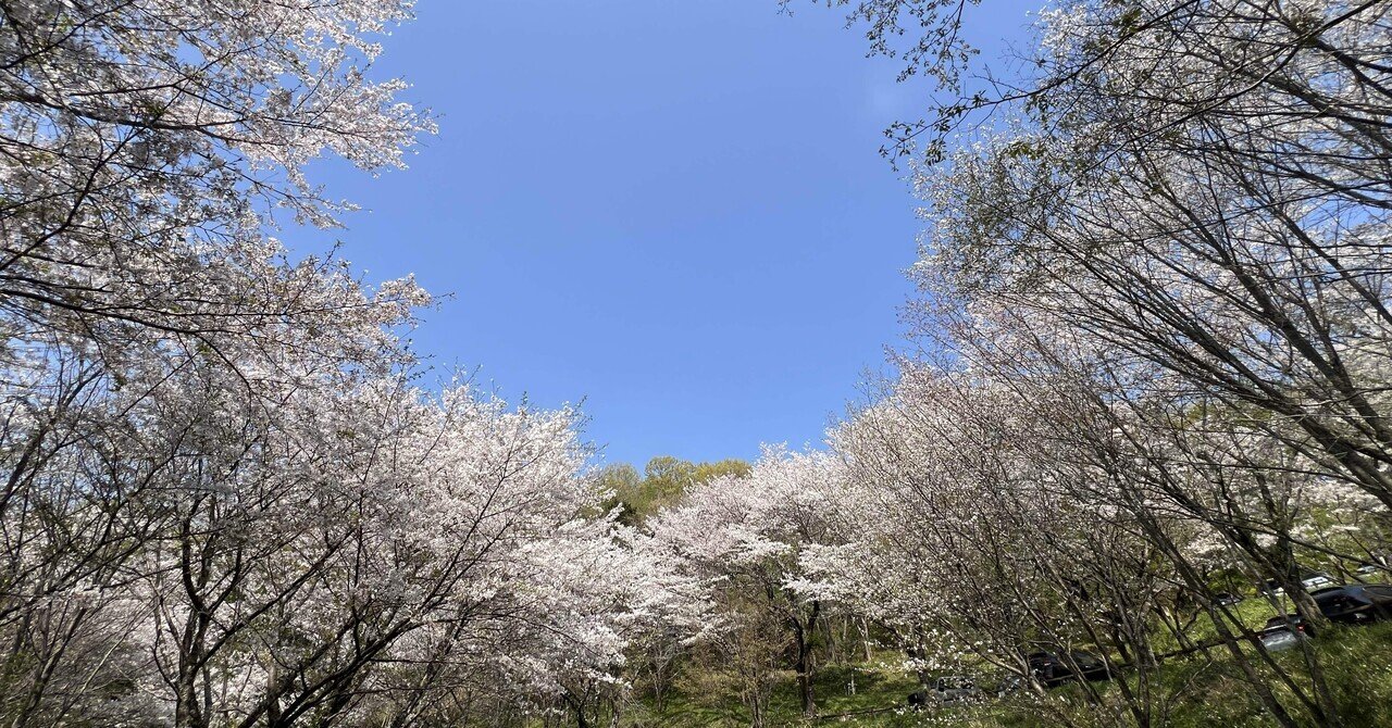 スキム＆花見｜jucon110