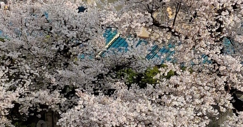 UNWIND&KOMOREBI｜note