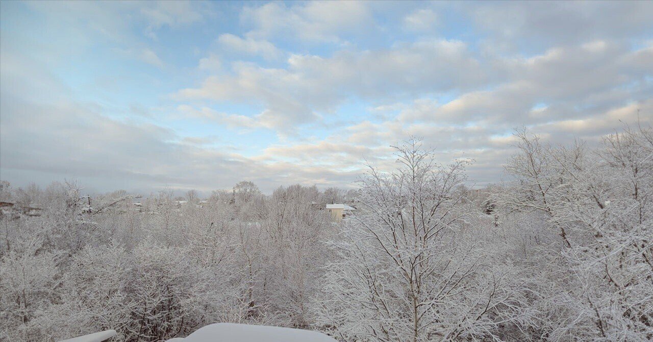 なごり雪の朝に、お弁当支度｜OBENTOとおいしい時間 | Mogu Mogu Life