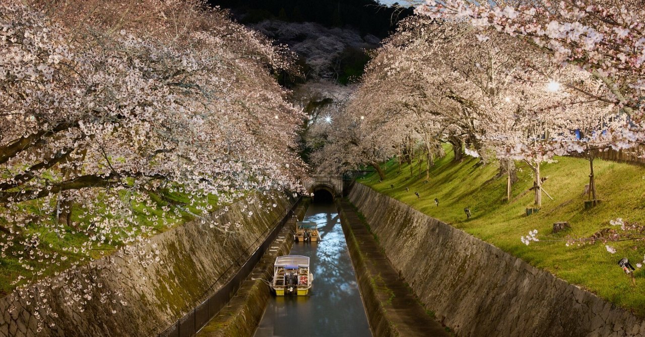 サクラコワイ｜005 akkiy