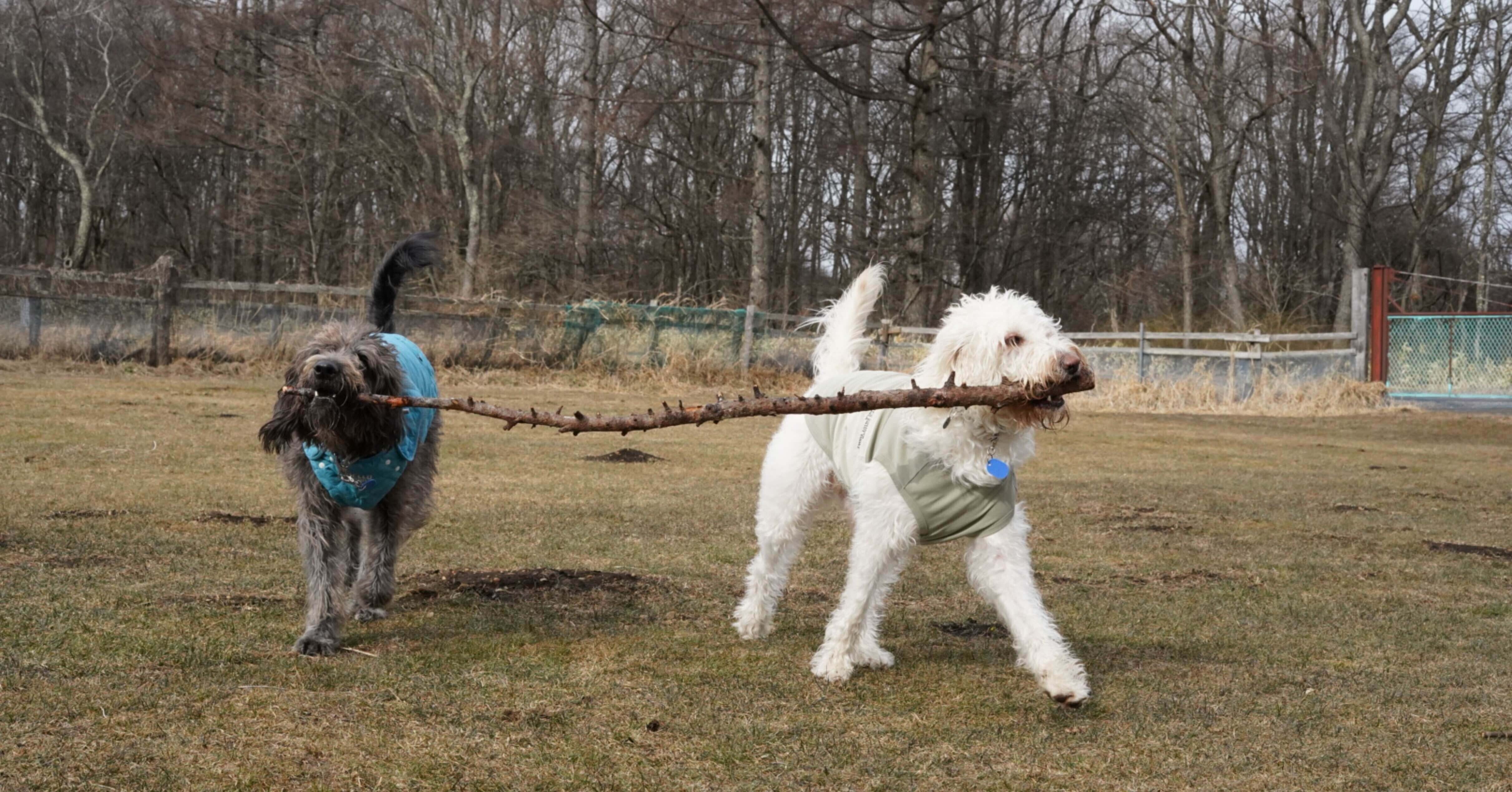 kaho/好きなことを仕事にしたい私の毎日｜note
