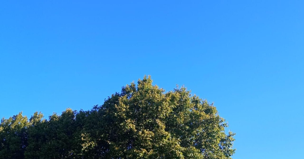 自己紹介・誰もが気軽にプロジェクトを持てる都市ブエノスアイレス。在住16年目 ｜mami_buenosaires