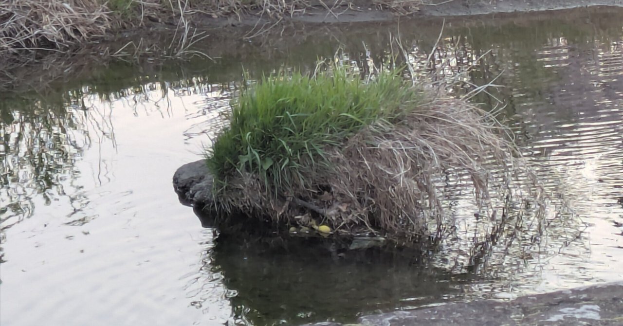 『里恋詩くて・・・熊野・高野』紀伊を愛した怒涛詩人さとちゃんを忘れない【675】｜ichiro70