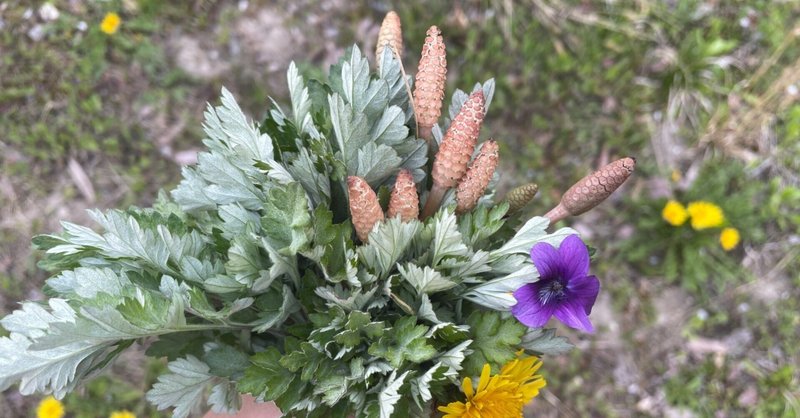 天然素材とナチュラルな暮らしを追求する40代ママ sachi｜note