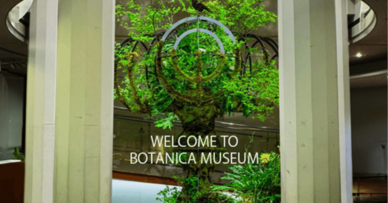 ⬜花の美術館『BOTANICA MUSEUM』⬜｜naho-21