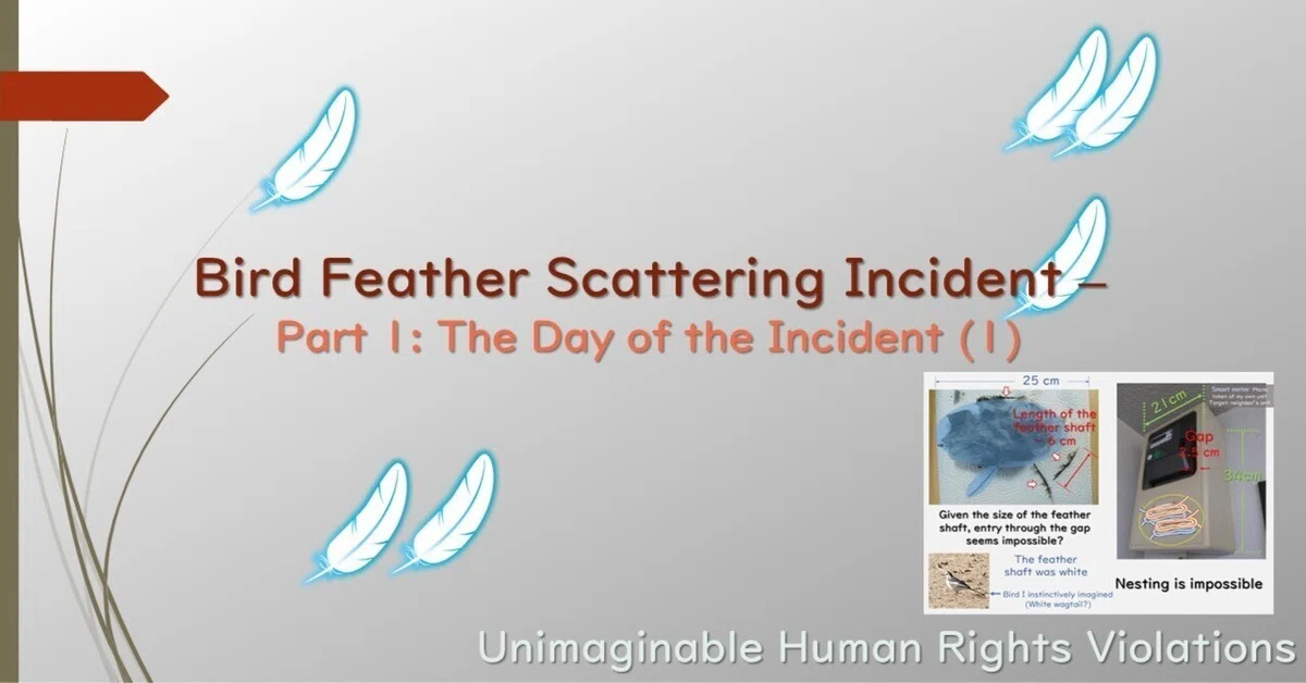 Bird Feather Scattering Incident – Part 1: The Day of the Incident (1)｜えむたや