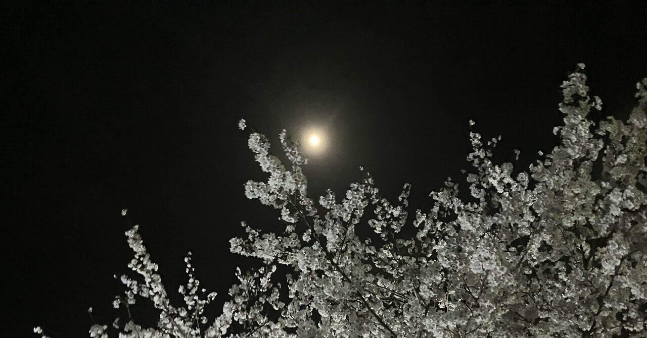 サックスとピアノの夕べ @さりょうのお知らせ｜小林萌里 Moeri Kobayashi