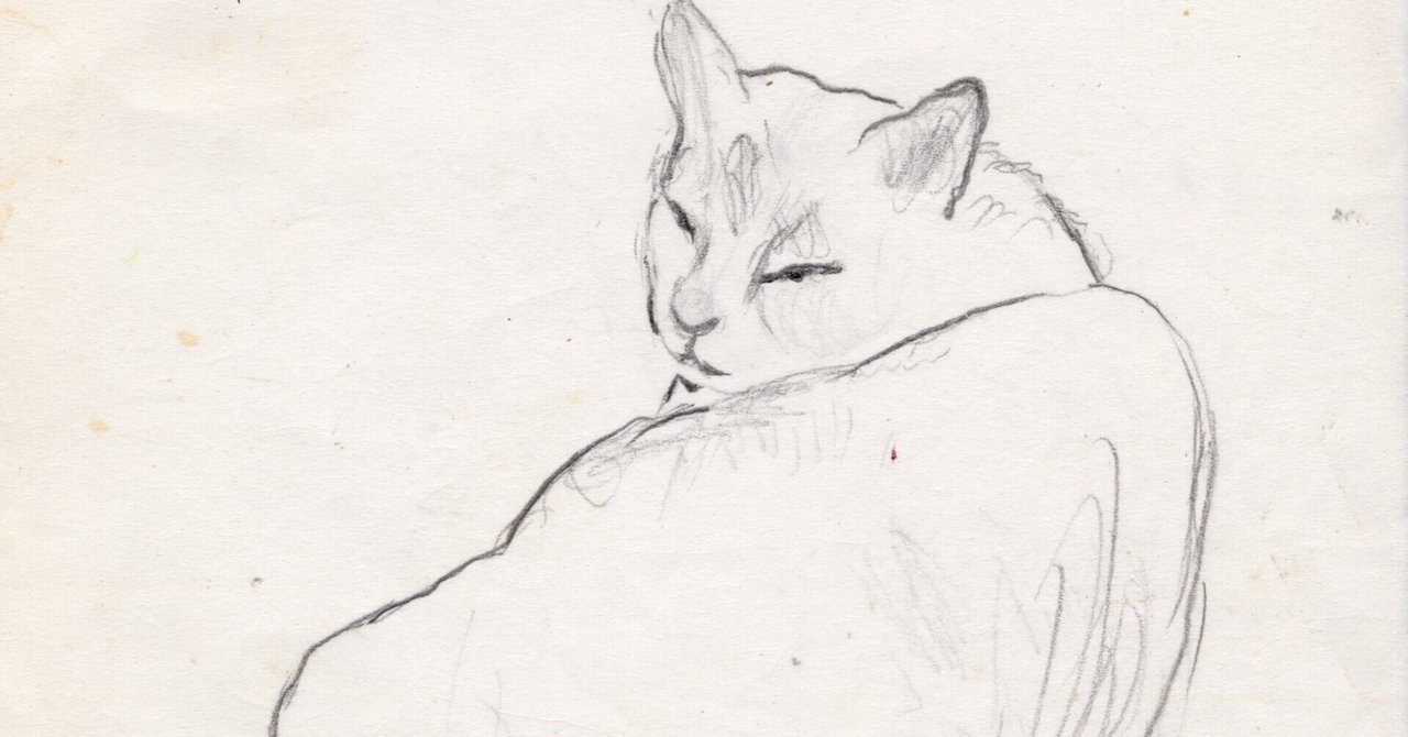 猫じゃらしズム トランプの本音｜仁吾巴 妍 niaha ken