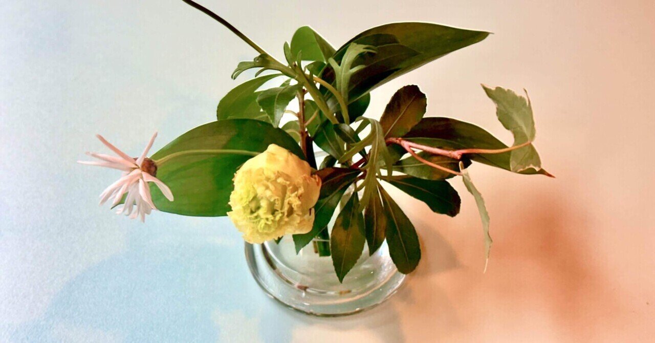 最近の写真たち｜Aquiraノ公式（H.P) カメライター📷＆🖊️