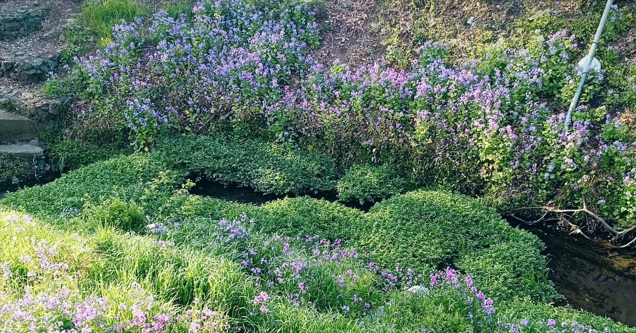 小惑星Varuna ── あなたと、使命を生きること。｜Уuκiκо ୨୧ Мizυаji