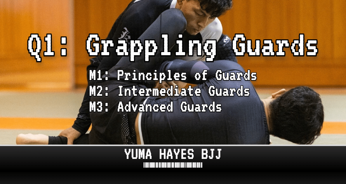 グラップリング - ガード (2025Q1)｜Yuma Hayes｜note