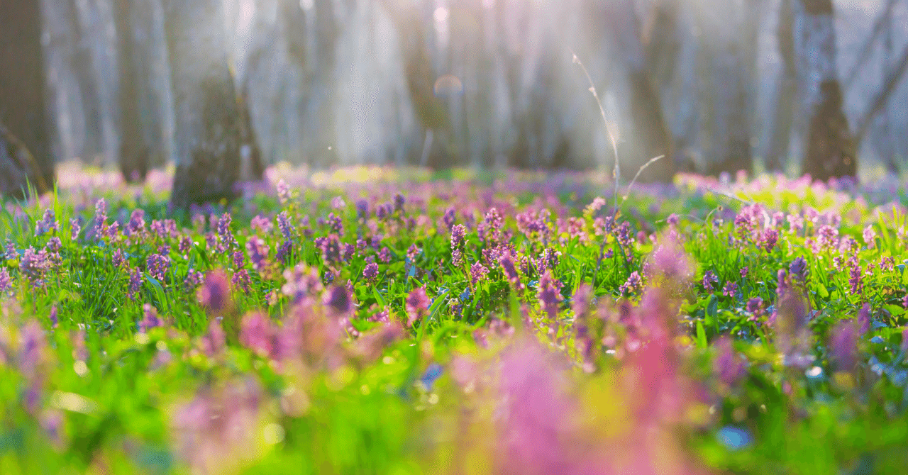 記憶と呼吸と、わたし。──アニメとヨーガが交わる場所で｜Kazuko.Yoga