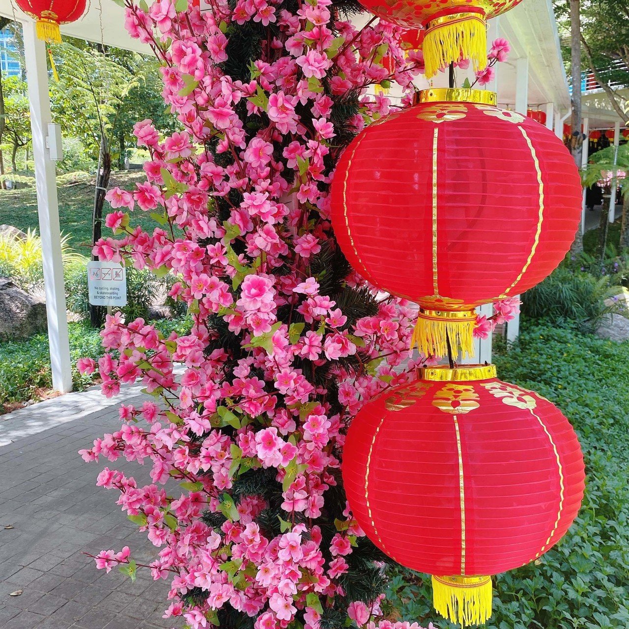 今年の旧正月(CNY)は今日。 少しでも事態が落ち着きますように。｜Seina Morisako