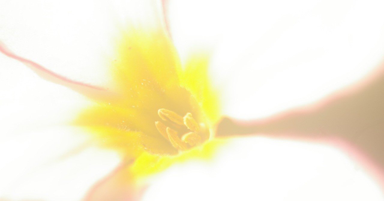 感知。・・。・｜Cosmic Suzu｜note