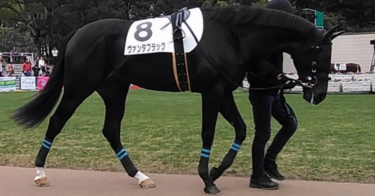 1/25（土）京都6R 1番人気馬｜JRDB 競馬アラカルト