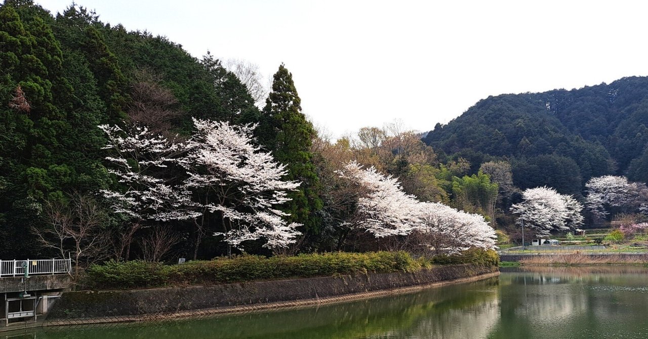 ただ歩くだけのことが感動へと導く｜三木仁平