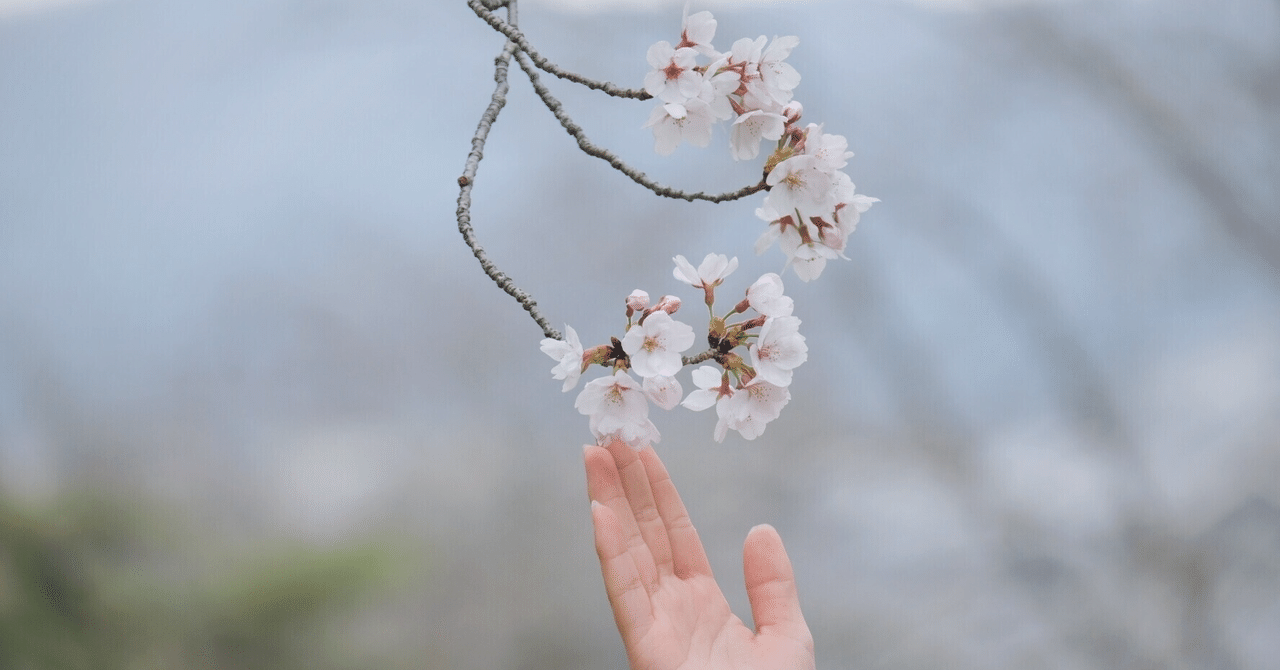 「WIN5」～夢馬券を極める旅～ (12)｜tombi