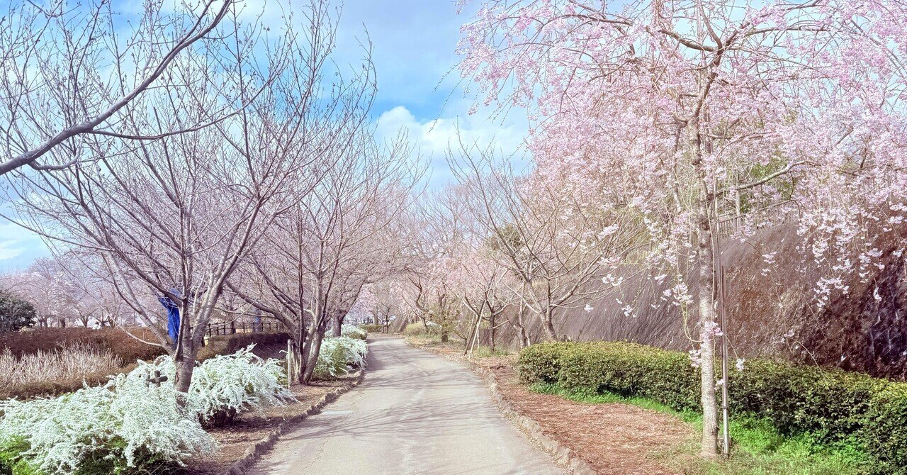 好きなことを英語で学ぶ｜まさにい