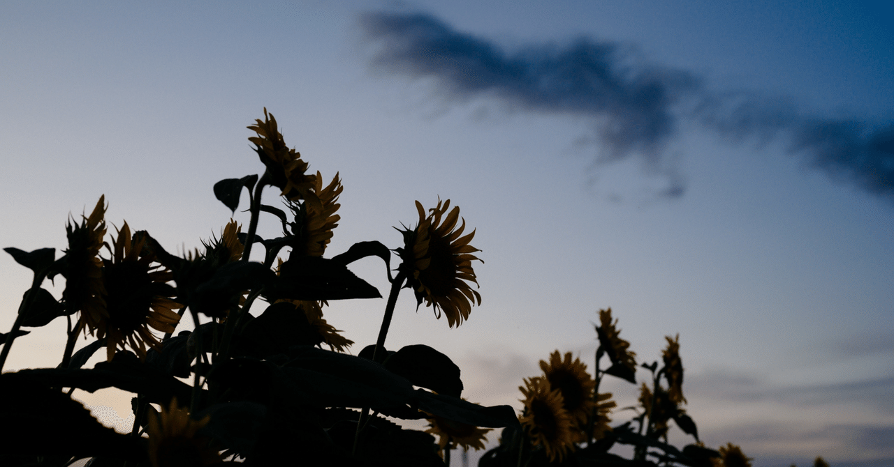 【Mr.Coach セッションDAY2】言葉から元気をもらえる定性ゴールの設定｜ショウイチ