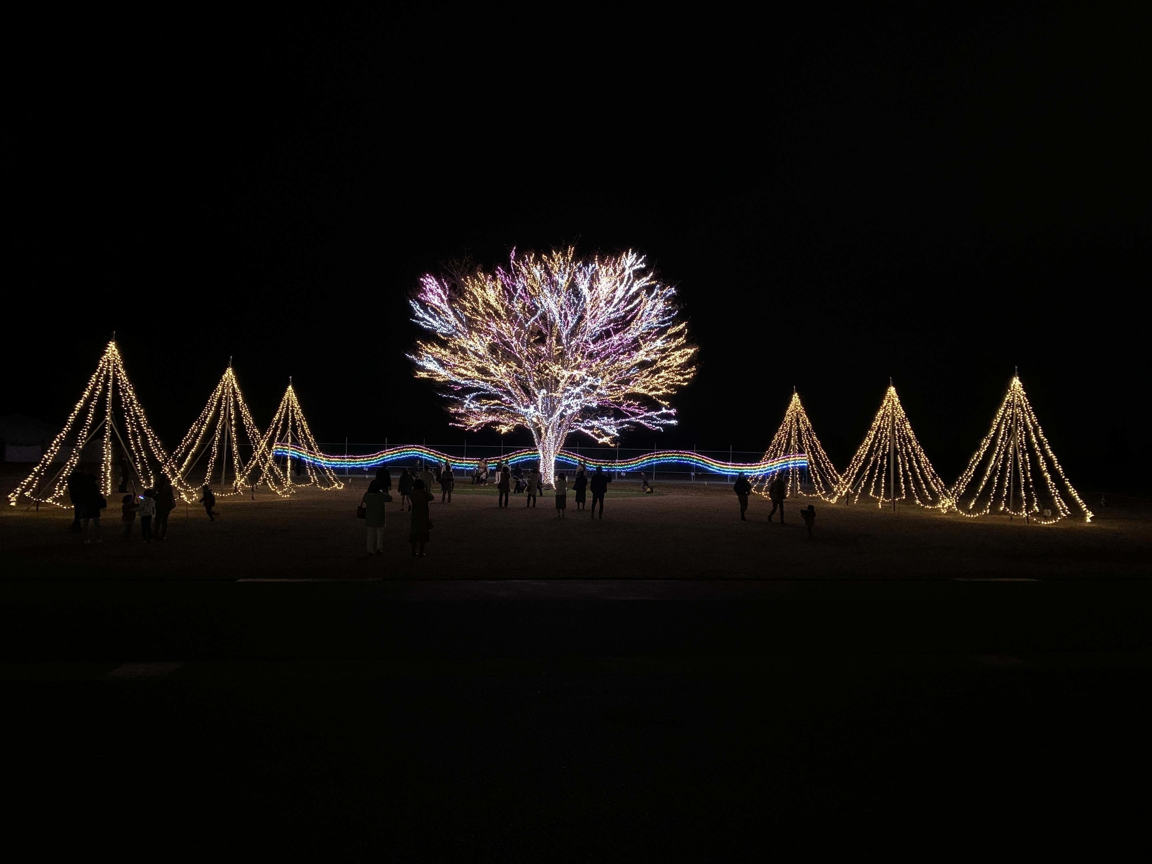 Ryusei Shibata｜note